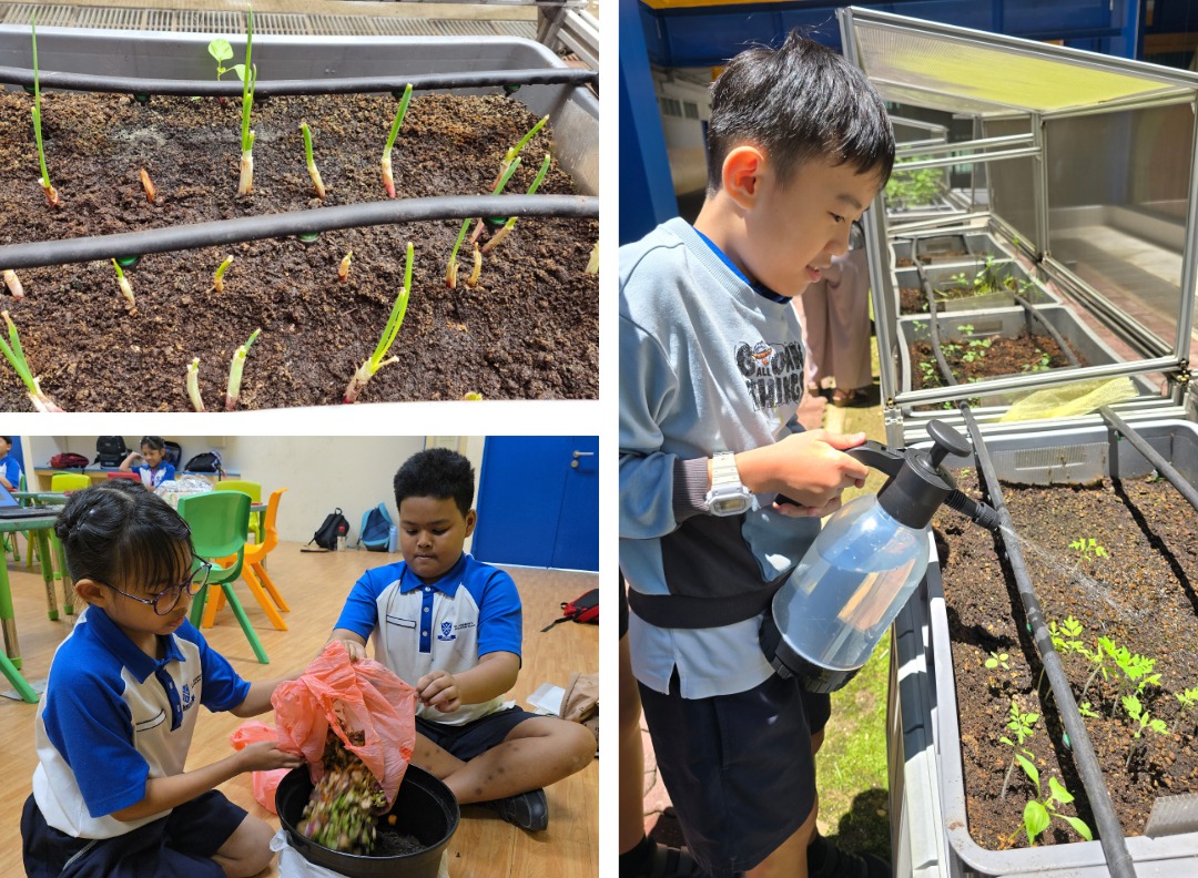 SAMS Eco Club Champion Water Conservation and Other Green Practices ...